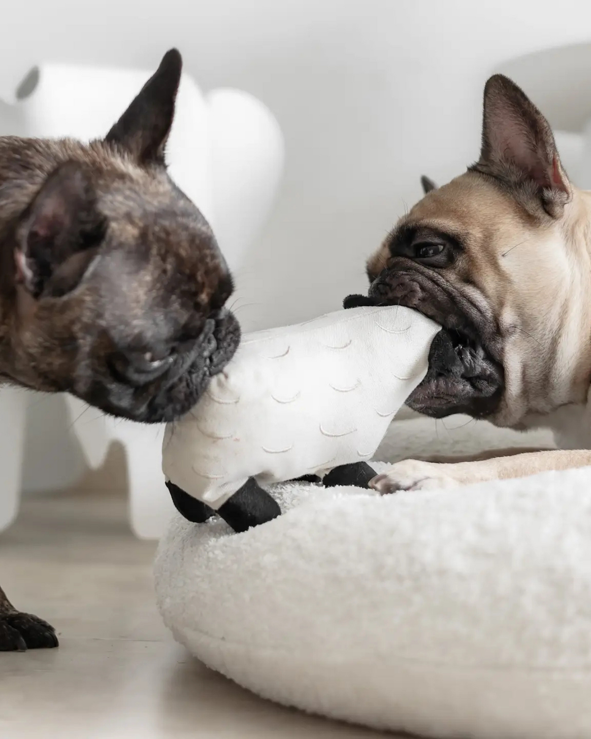 LAMBWOLF COLLECTIVE | Dolly the Sheep Squeaky Plush Dog Toy | DOG & CO.