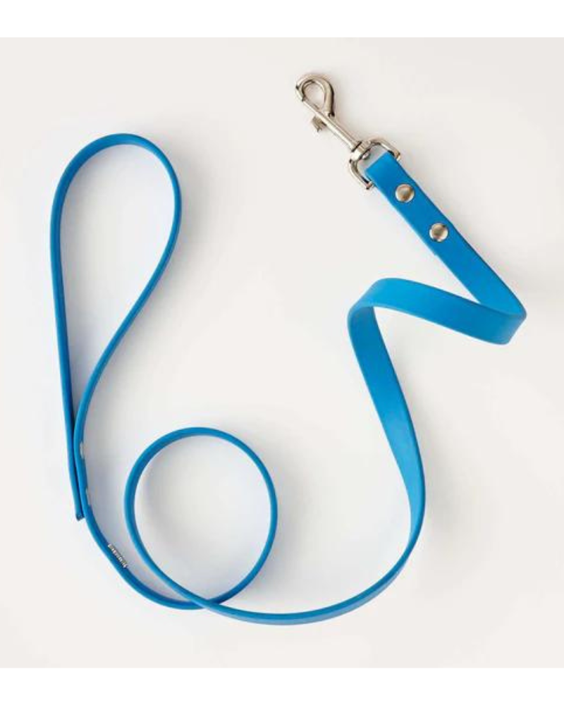HOT DOGS ALL DRESSED | Vegan Leather Dog Leash in Sky Blue (Made in ...