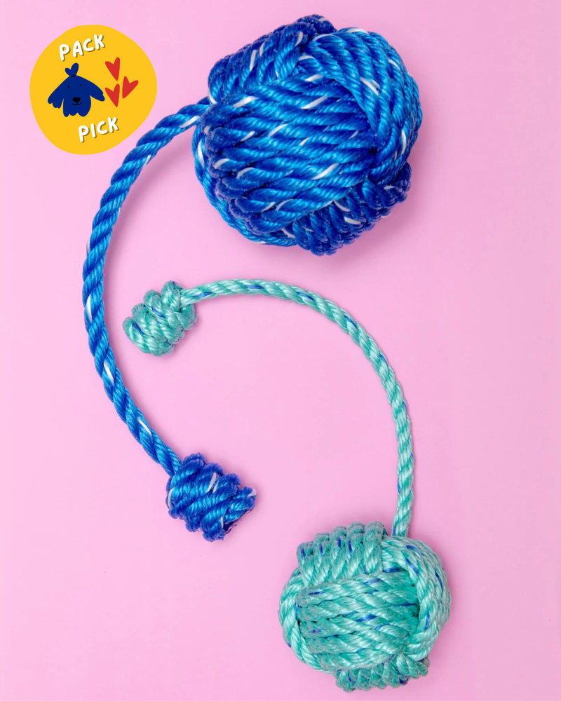 Floating Monkey Fist Rope Dog Toy | DOG & CO.