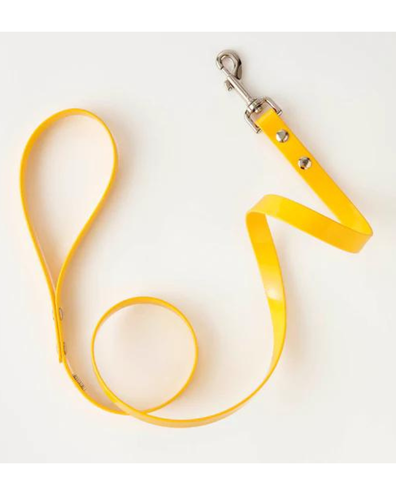 HOT DOGS ALL DRESSED | Hydro Dog Leash in Yellow (Made in Canada) | DOG ...