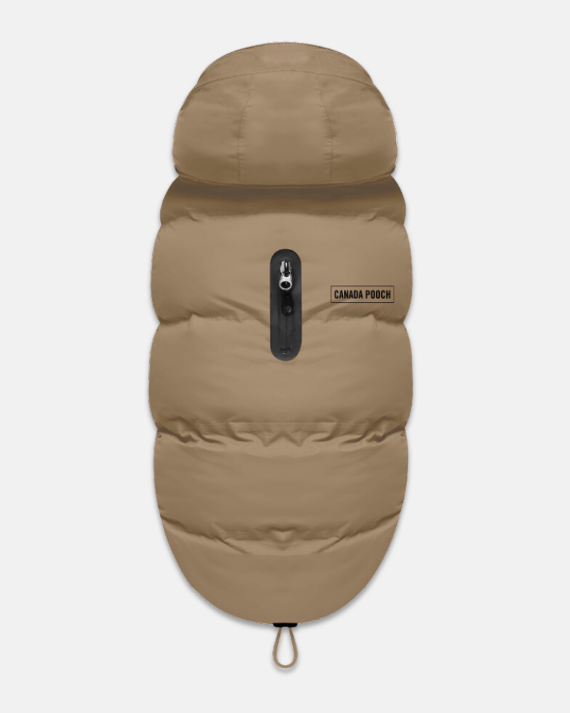 CANADA POOCH | Insulated Waterproof Dog Puffer | DOG & CO.