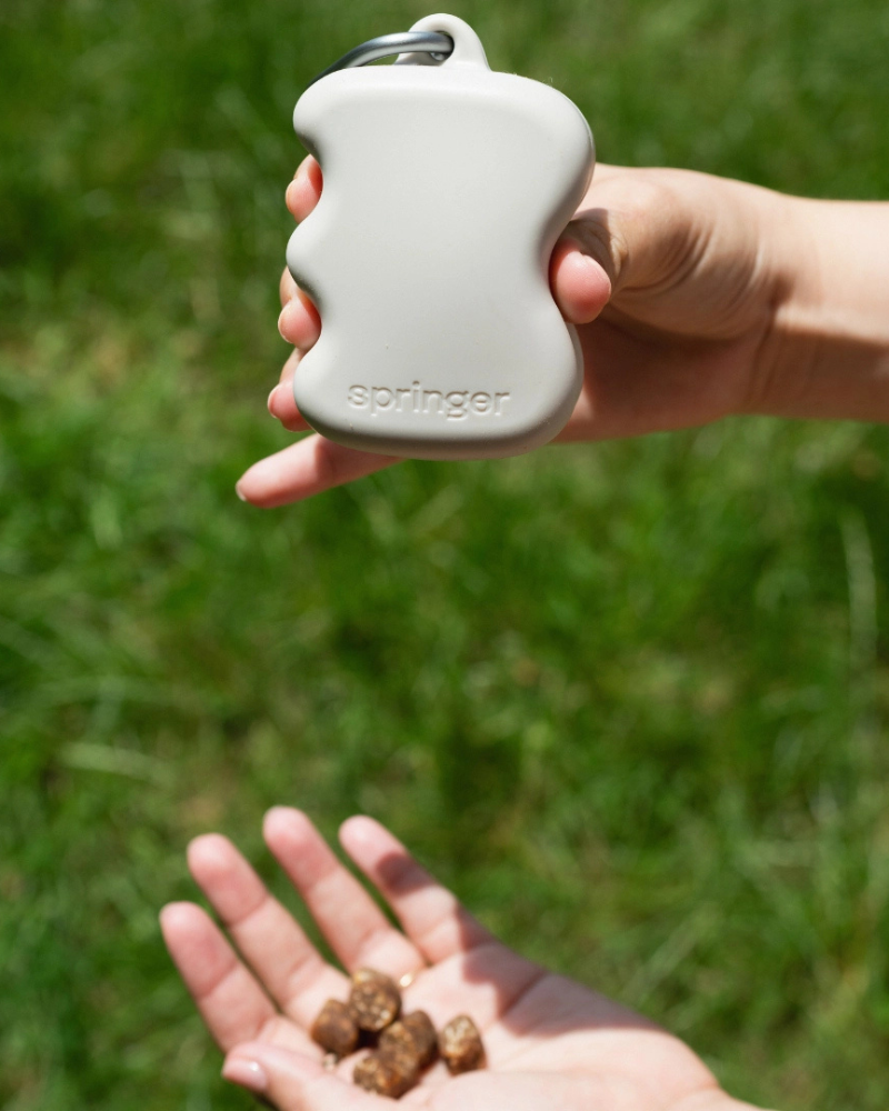 SPRINGER | Silicone Dog Treat Dispenser | DOG & CO.