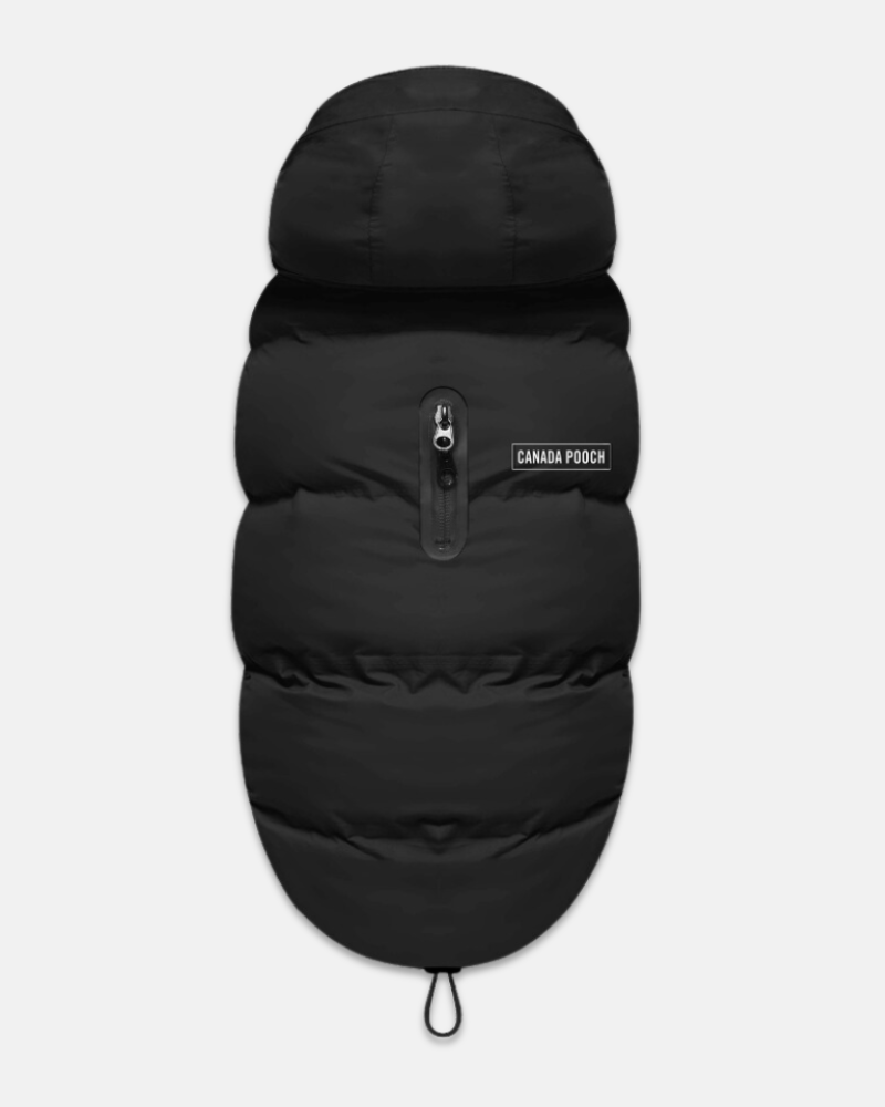 CANADA POOCH | Insulated Waterproof Dog Puffer | DOG & CO.
