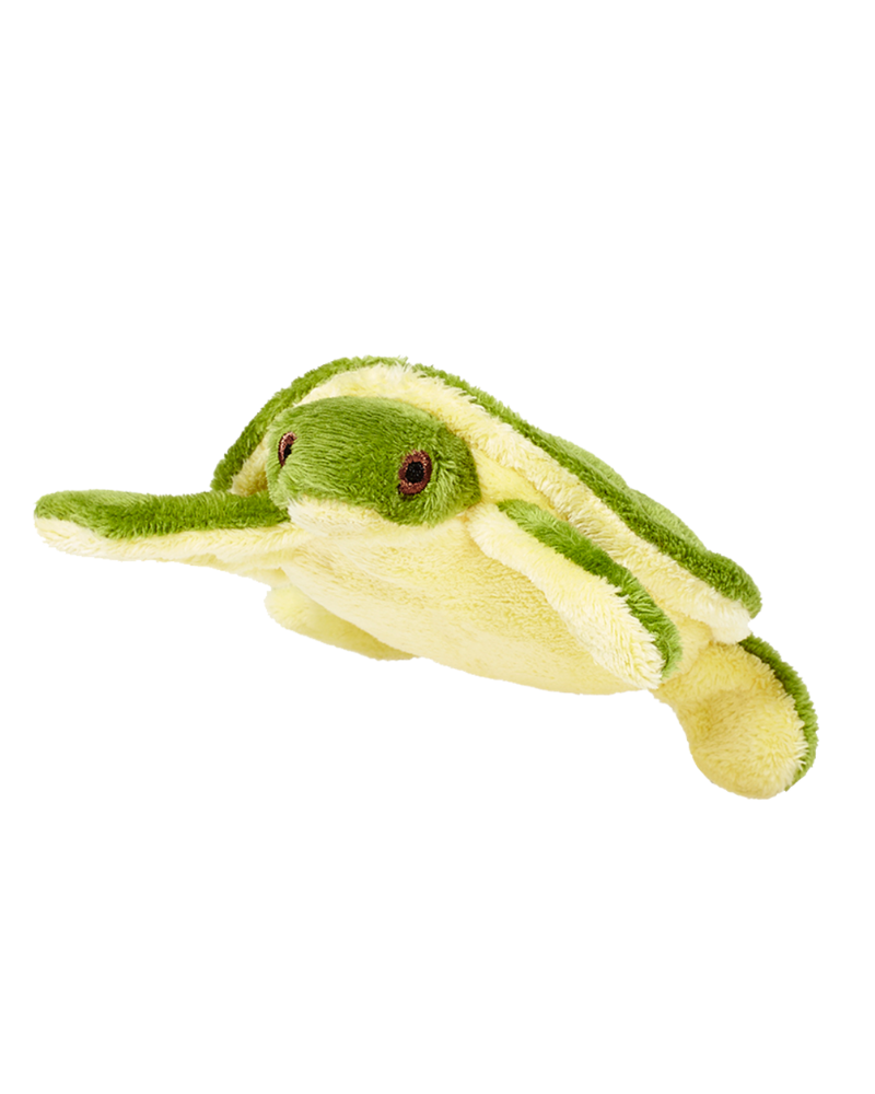 FLUFF & TUFF | Shelly Turtle Squeaky Dog Plush Toy | DOG & CO.