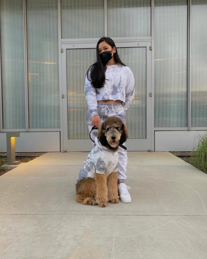 SHANNA'S TIE DYE | Tie Dye Dog Hoodie in Grey & White | DOG & CO.