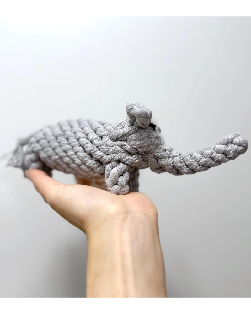 KNOTTY PAWS | Eco-Friendly Elephant Rope Dog Toy | DOG & CO.