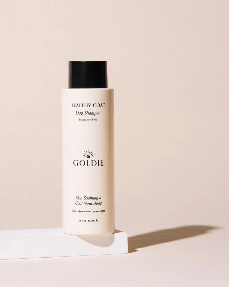 GOLDIE | Healthy Coat Dog Shampoo | DOG & CO.