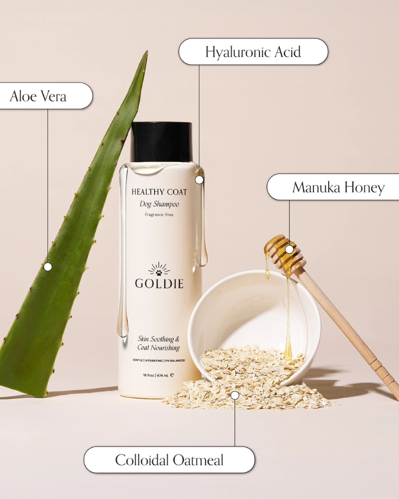 GOLDIE | Healthy Coat Dog Shampoo | DOG & CO.