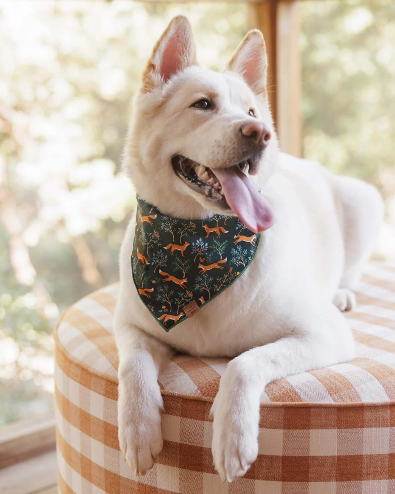 Woodland Fox Dog Bandana (Made in the USA) | DOG & CO.