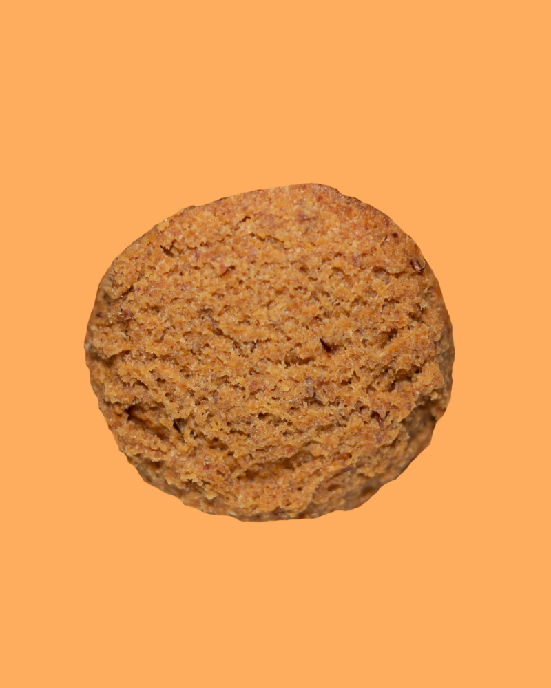 SOUR DOG | Pup-Kin Pie Pumpkin Sourdough Dog Treats | DOG & CO.