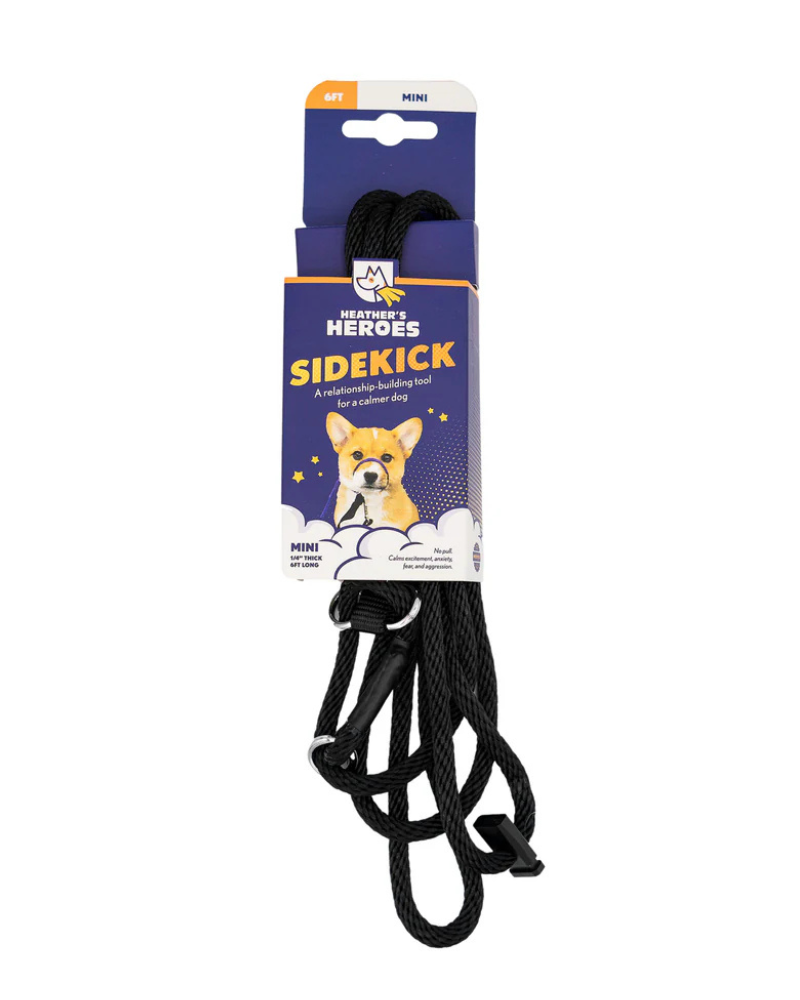 HEATHER'S HEROES | Sidekick Transitional No-Pull Leash | DOG & CO.
