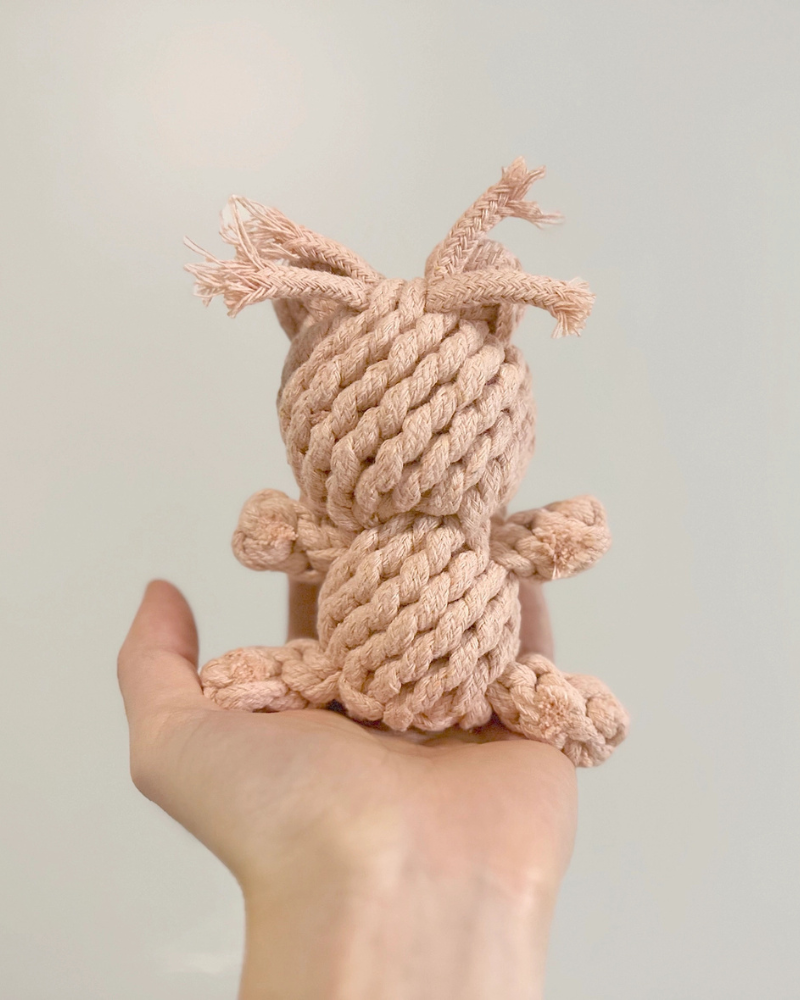 KNOTTY PAWS | Sweetheart Bear Rope Dog Toy | DOG & CO.