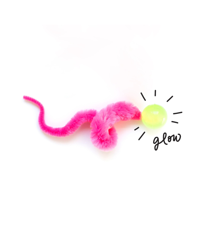 DEZI & ROO | Wiggy Glow in the Dark Ball Cat Toy | DOG & CO.