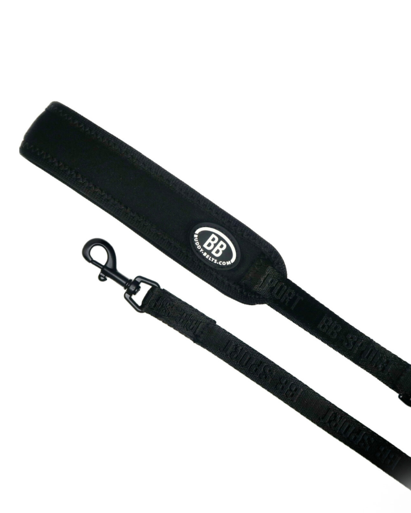 BUDDY BELTS | Buddy Belt Sport Leash in Black | DOG & CO.