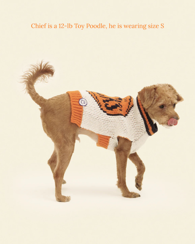 LITTLE BEAST | New York Knicks NBA Dog Sweater | DOG & CO.