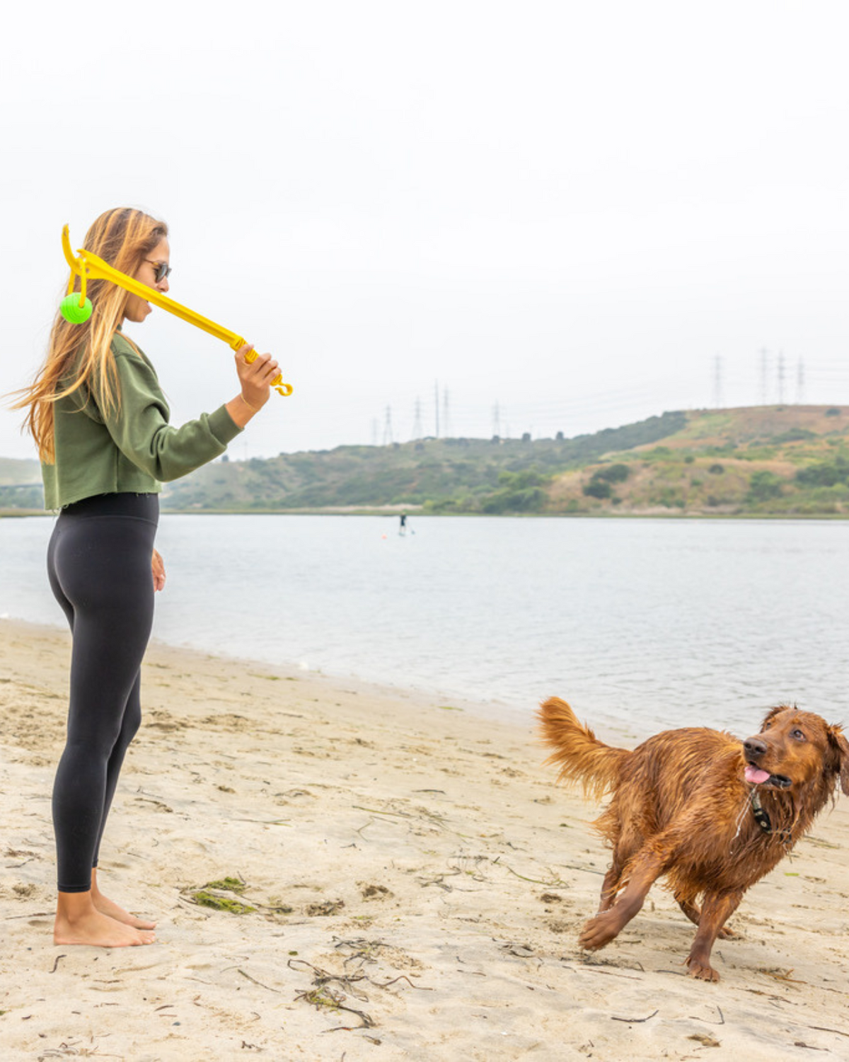 PROJECT HIVE PET COMPANY | Hive Zoomer Launcher & Looped Ball Dog Toy ...