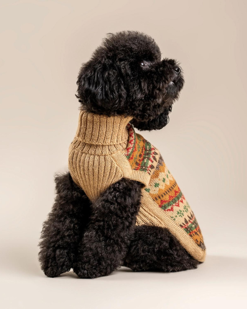 ALQO WASI | Fair Isle Alpaca Dog Sweater | DOG & CO.
