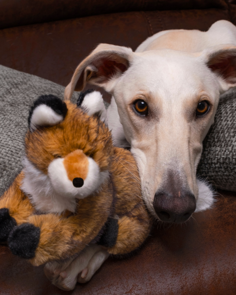 FLUFF AND TUFF | Jaspar Fox Squeakerless Plush Dog Toy | DOG & CO.