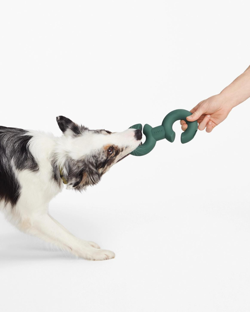 FABLE | Falcon Interactive Dog Toy | DOG & CO.