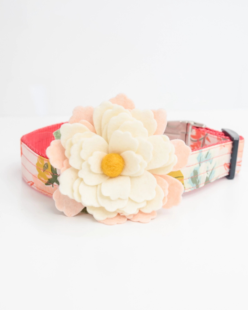 MIMI GREEN | Water Lily Dog Collar Flower in Cream (Made in the USA ...