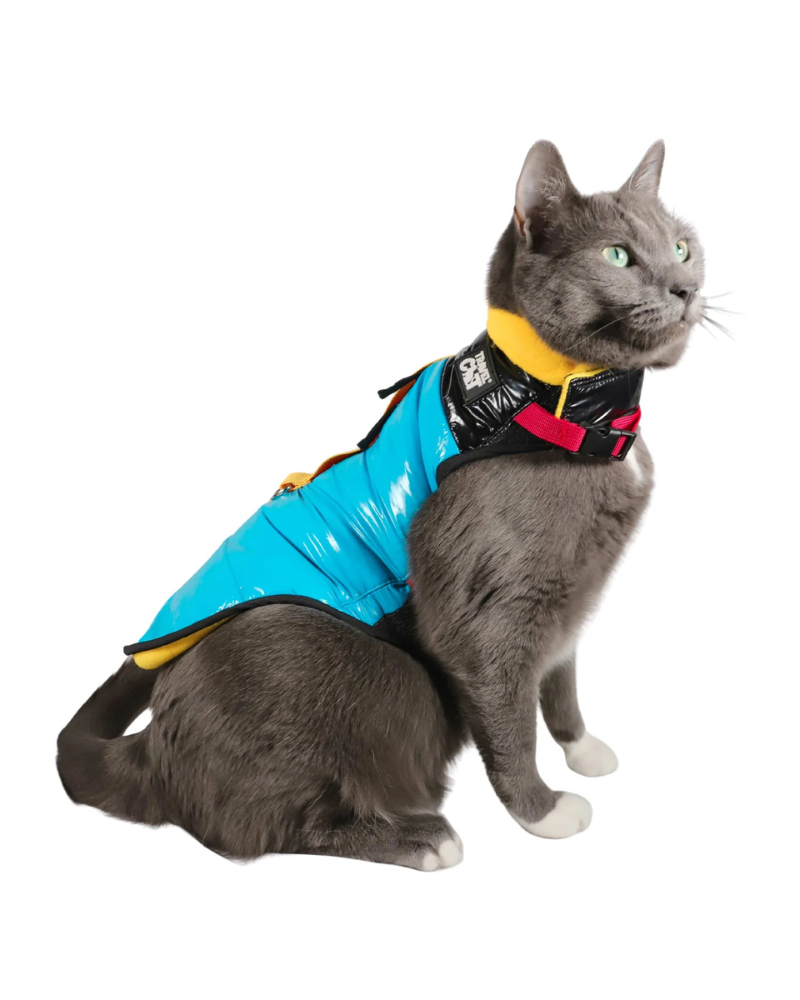TRAVEL CAT | 