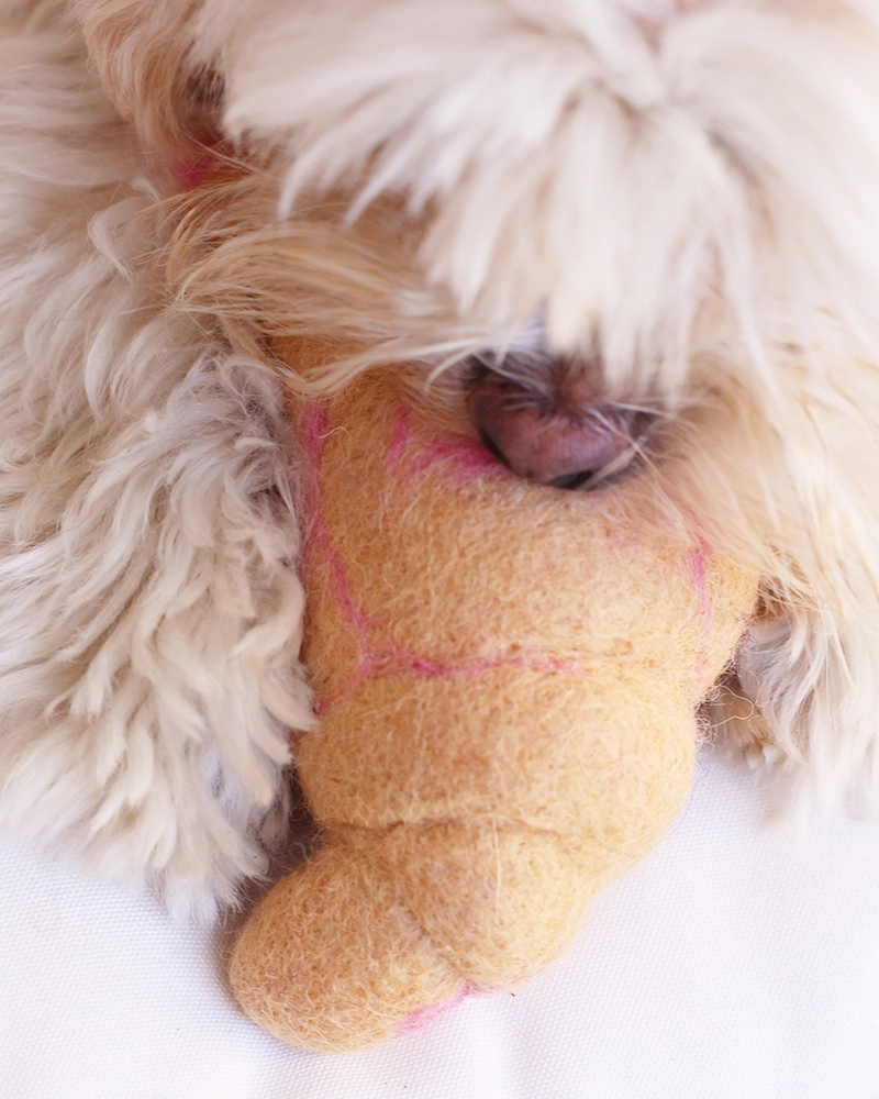 MODERN BEAST | Wool Croissant Dog Toy | DOG & CO.