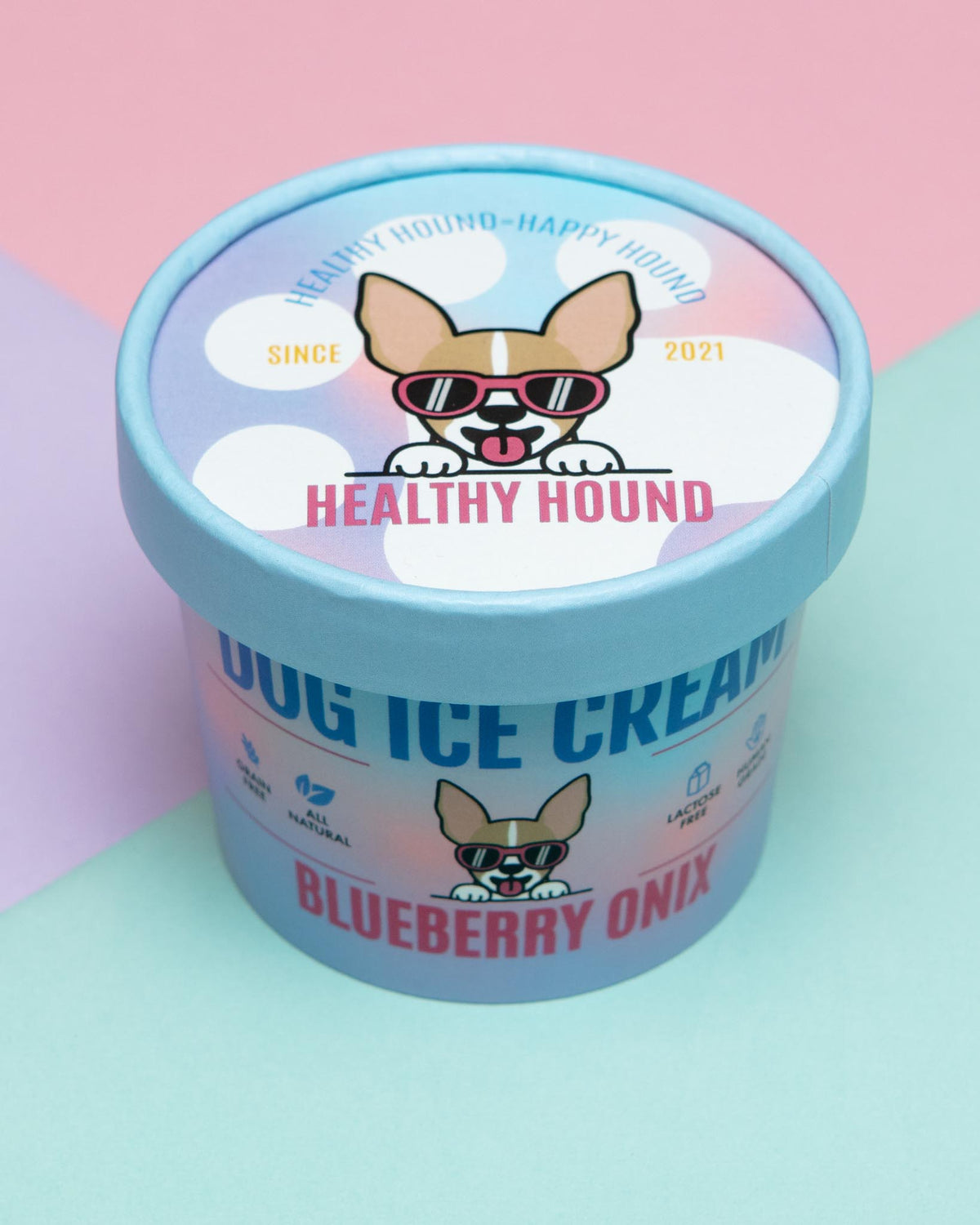 HEALTHY HOUND | Blueberry Onix Human Grade Dog Ice Cream Mix (Lactose ...