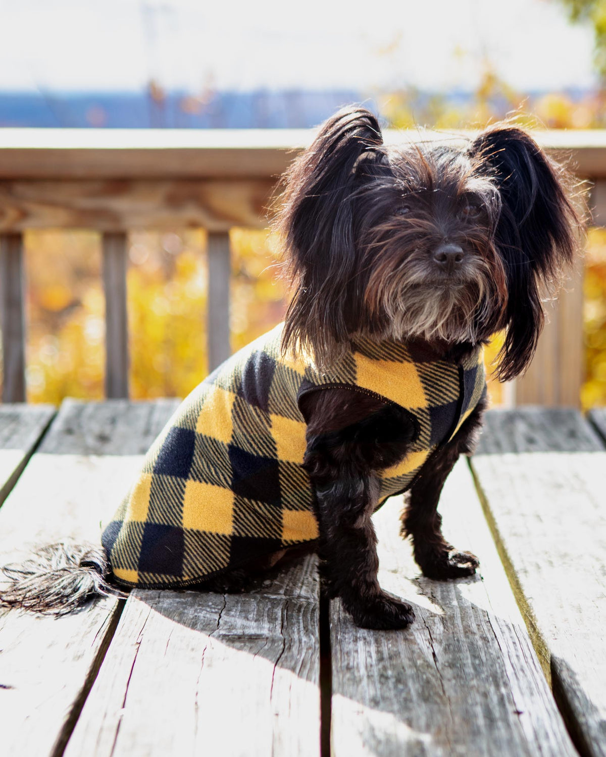 GOLD PAW | Stretch Fleece Pullover in Yellow Buffalo Plaid | DOG & CO.
