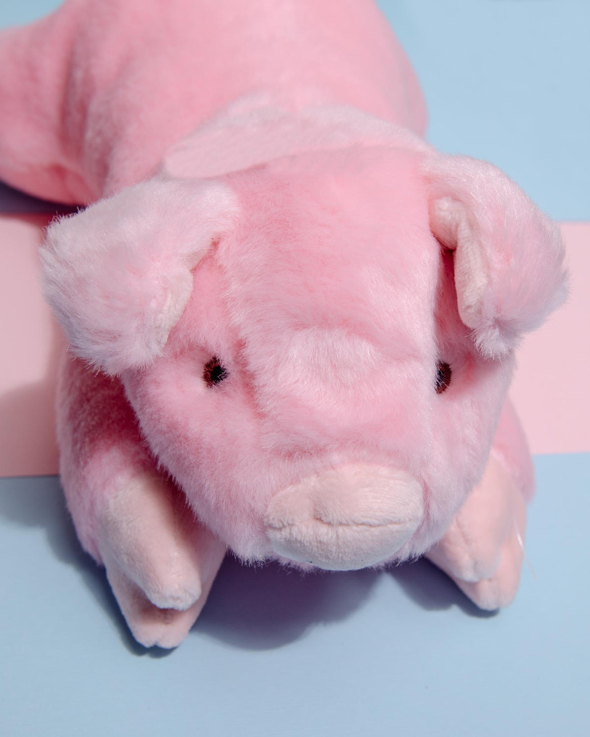 FLUFF & TUFF | Petey Pig Plush Squeaky Dog Toy | DOG & CO.