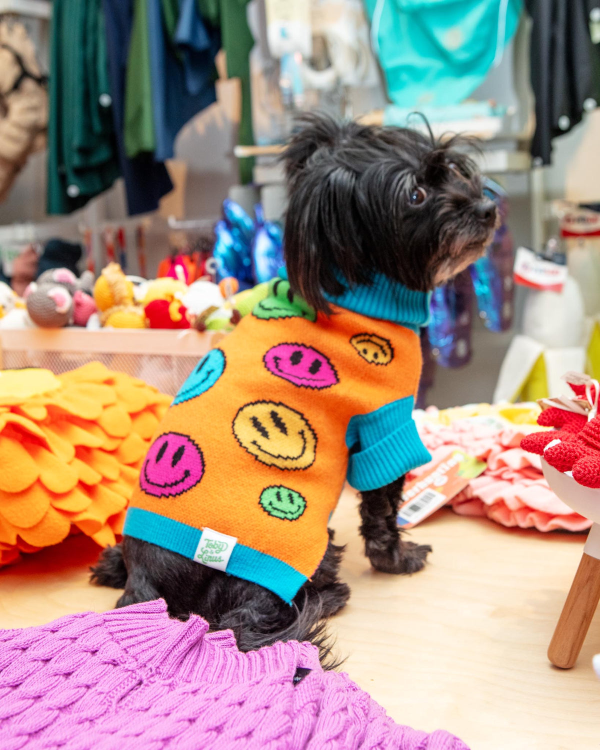 TOBY & LINUS | How Are You Feeling? Pet sweater | DOG & CO.