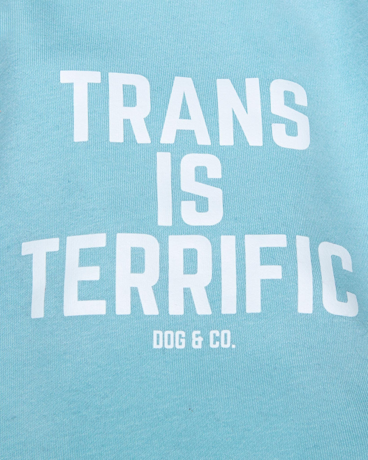 DOG & CO. | *Trans is Terrific* Dog Hoodie (Proceeds Benefit the ACLU ...