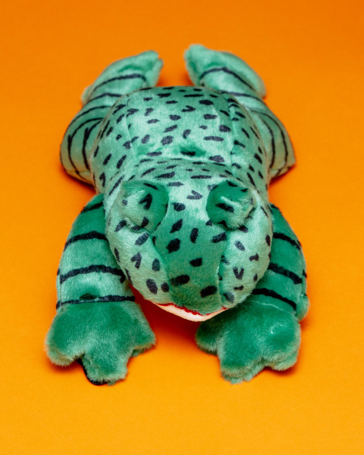 FLUFF & TUFF | Oliver the Frog Plush Squeaky Dog Toy | DOG & CO.