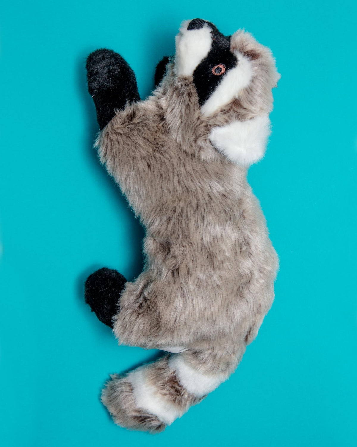 FLUFF & TUFF | Rocket the Raccoon Squeaky Dog Toy | DOG & CO.