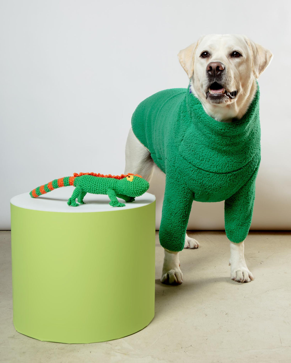 WARE OF THE DOG | Hand Crochet Lizard Dog Toy | DOG & CO.