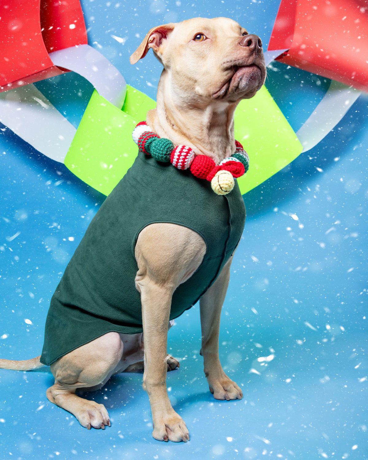 FLUFFY JOY | Christmas Ornament Collar Crochet Pet Bandana | DOG & CO.