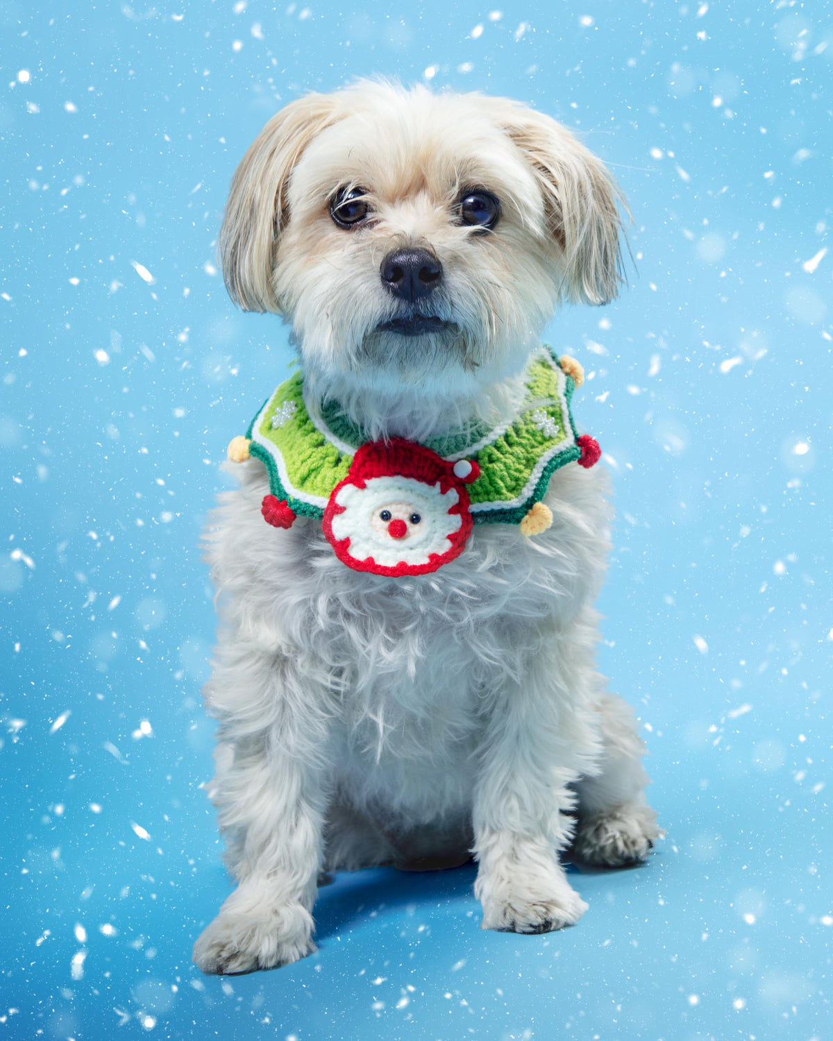 FLUFFY JOY | Santa in Snowflakes Crochet Pet Bandana | DOG & CO.
