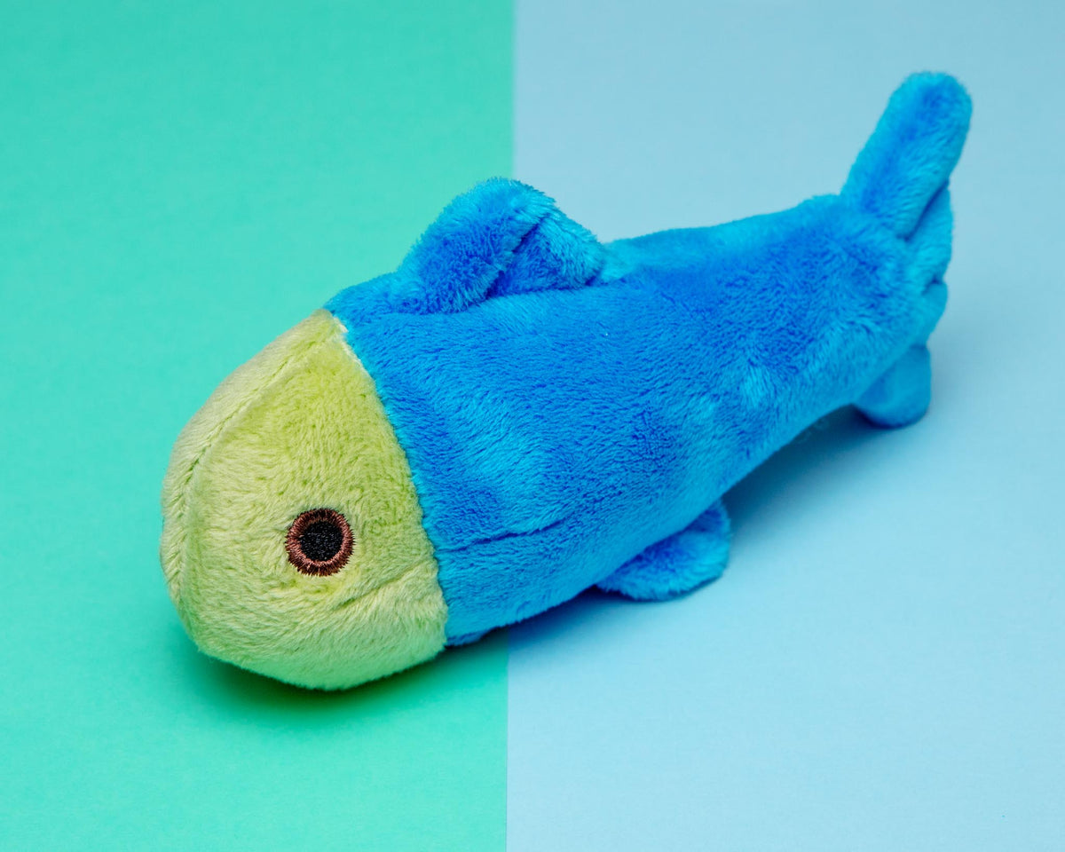 FLUFF & TUFF | Molly Fish Squeaky Dog Plush Toy | DOG & CO.