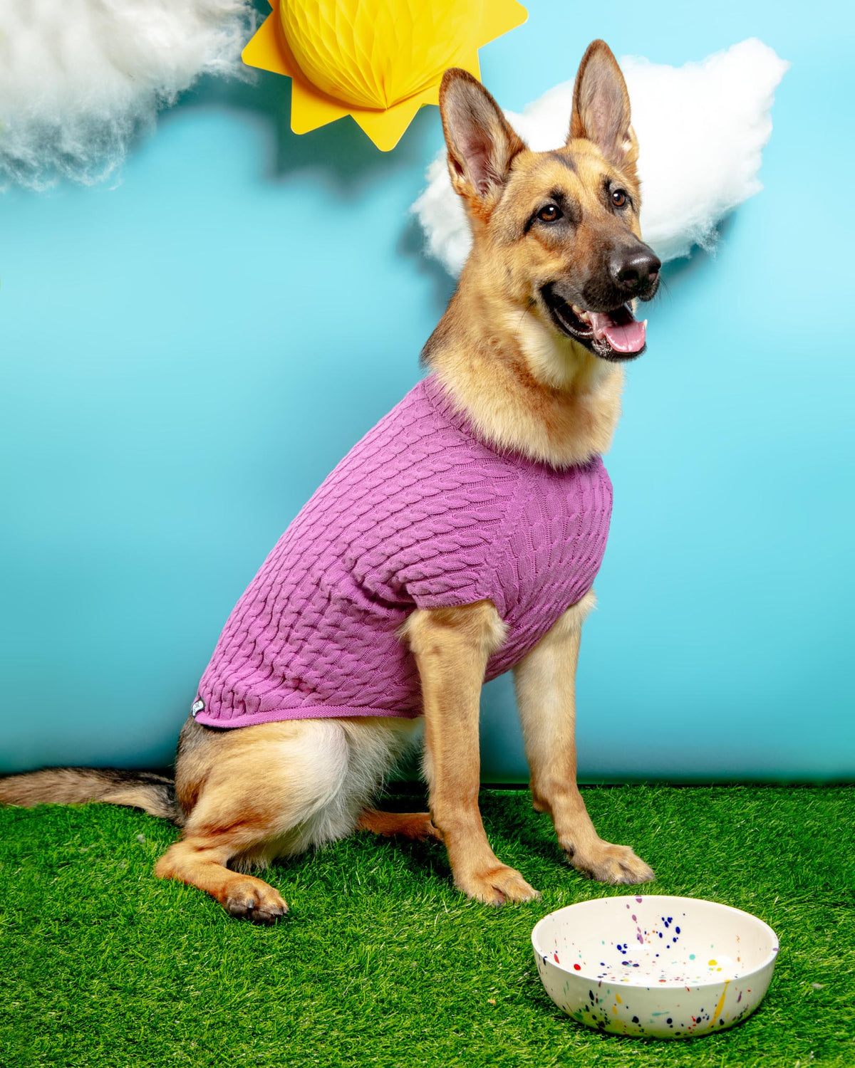 FELT + FAT | Ceramic Pet Bowl in Confetti | DOG & CO.