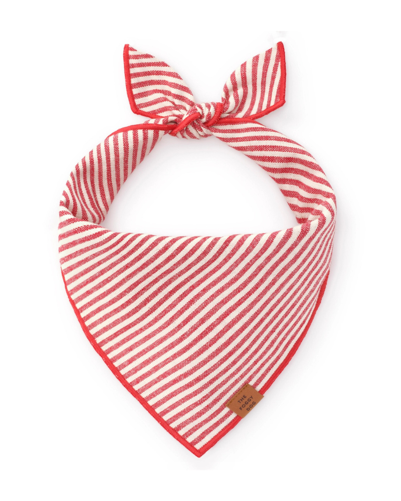 THE FOGGY DOG | Red Stripe Dog Bandana | DOG & CO.