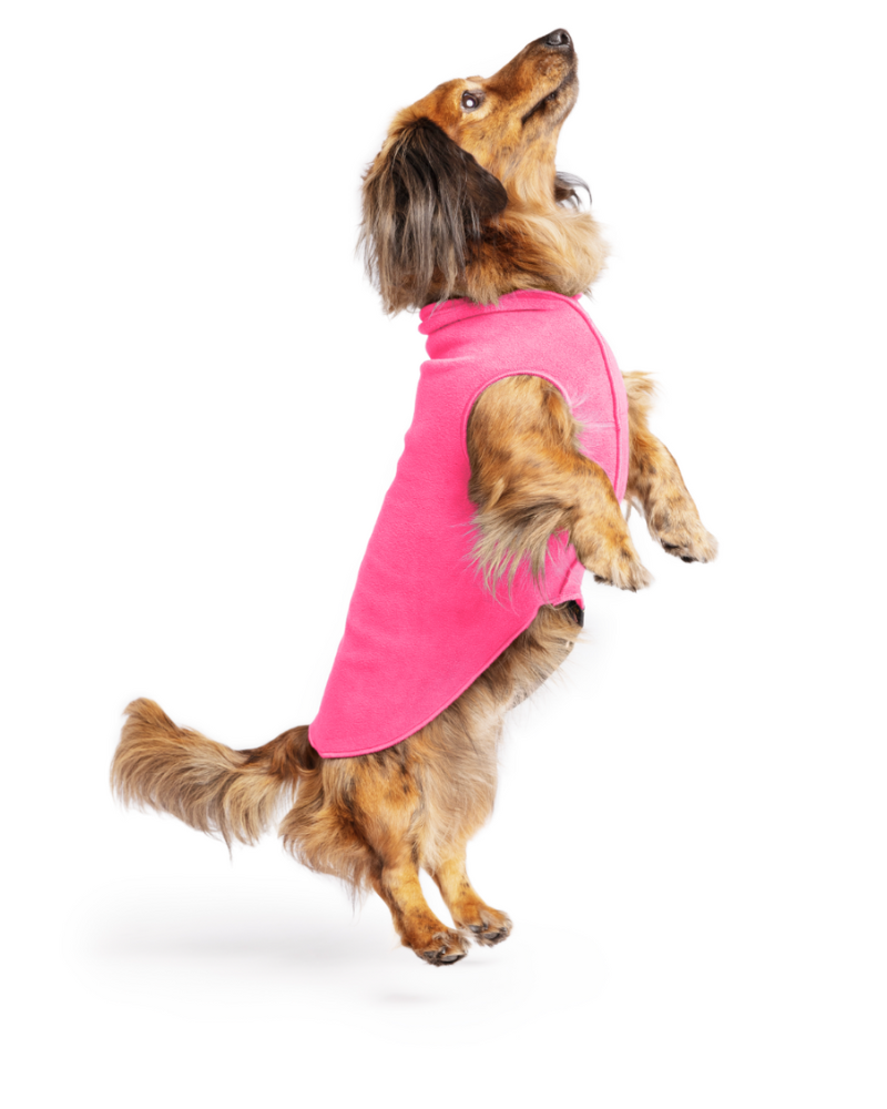 GOLD PAW | Stretch Fleece in Neon Pink | DOG & CO.
