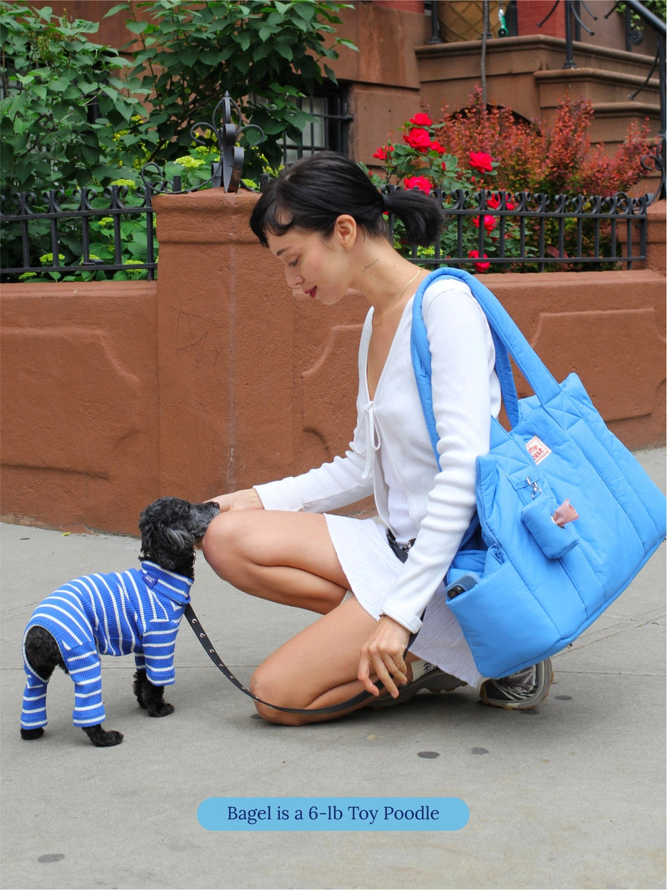 LITTLE BEAST | The Little Beast Dog Carrier in Baby | DOG & CO.