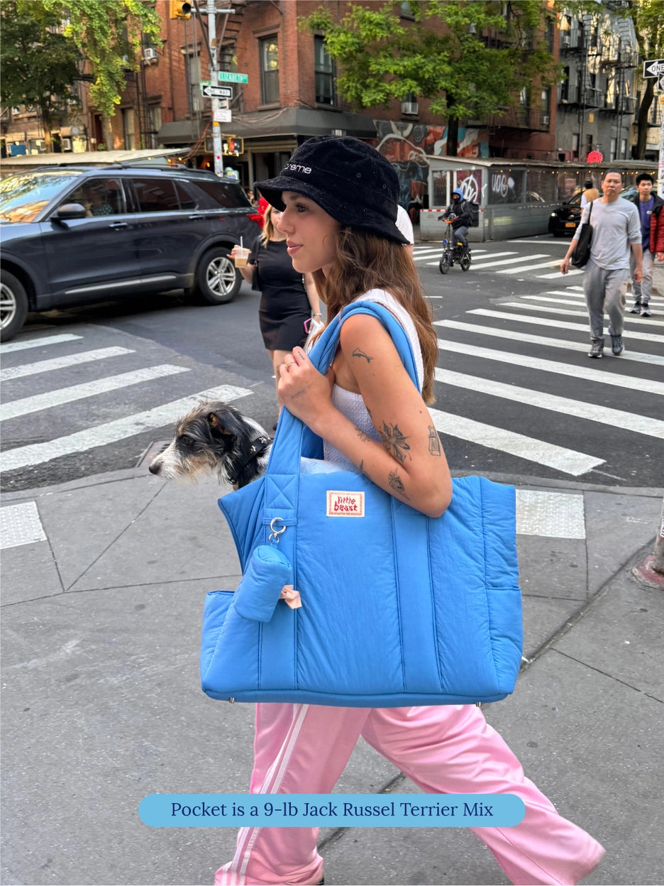 LITTLE BEAST | The Little Beast Dog Carrier in Baby | DOG & CO.