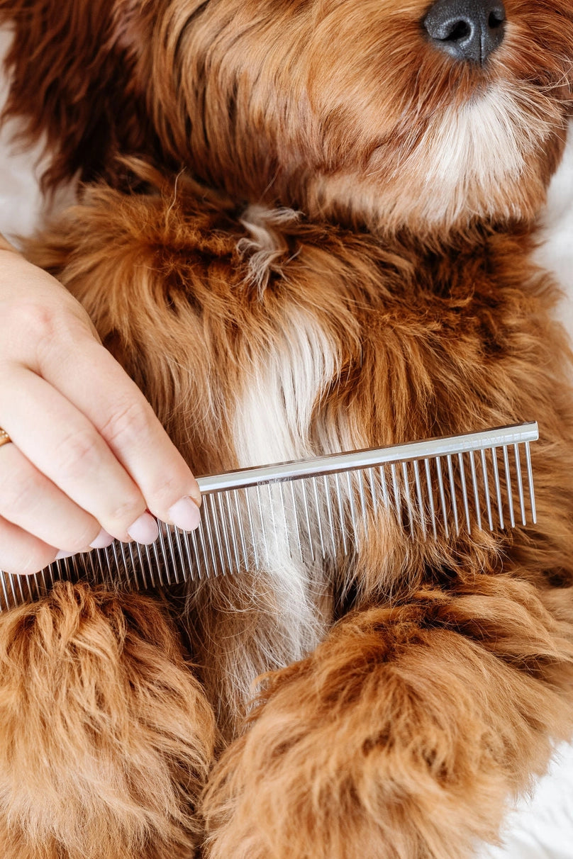 PUPWELL | Everyday Comb for Dogs | DOG & CO.