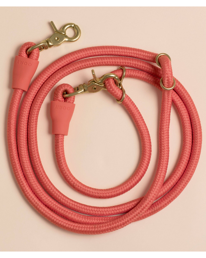 AWOO PETS | Infinity Dog Leash in Spice | DOG & CO.