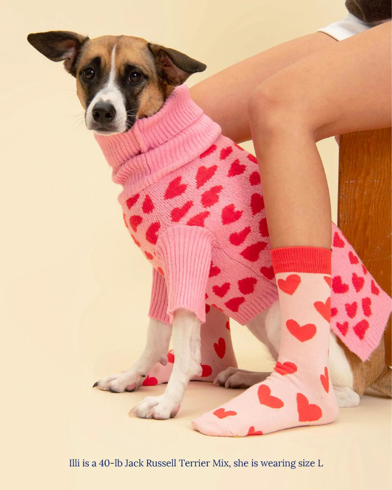 LITTLE BEAST | The Love Sweater | DOG & CO.