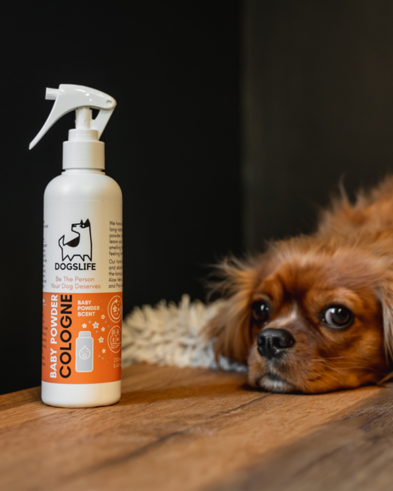 DOGSLIFE | Dog Cologne in Baby Powder Scent | DOG & CO.