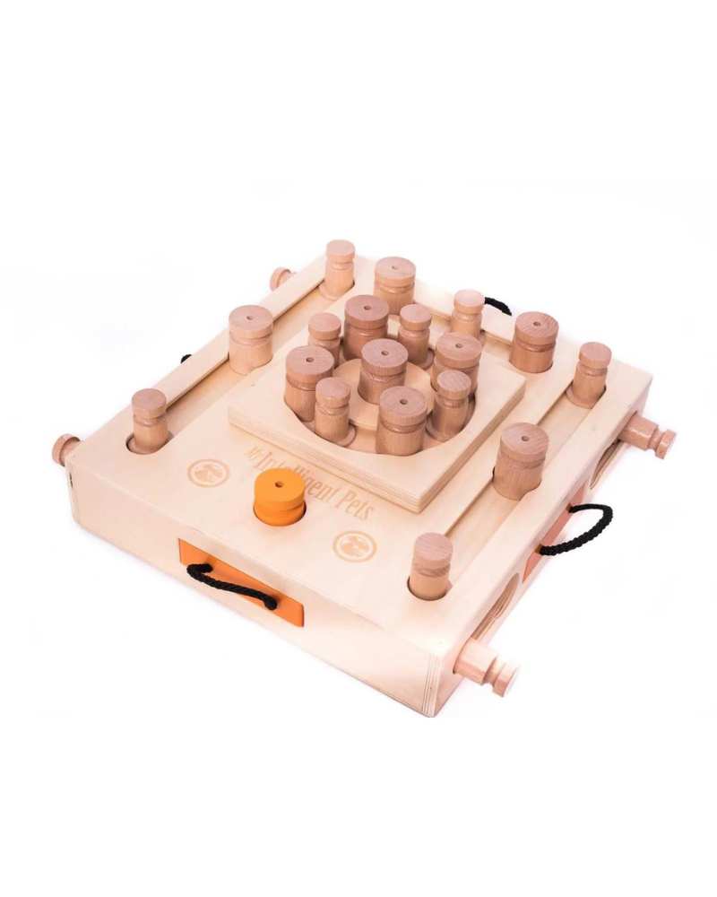 MY INTELLIGENT PET | Turtle Interactive Puzzle Toy | DOG & CO.