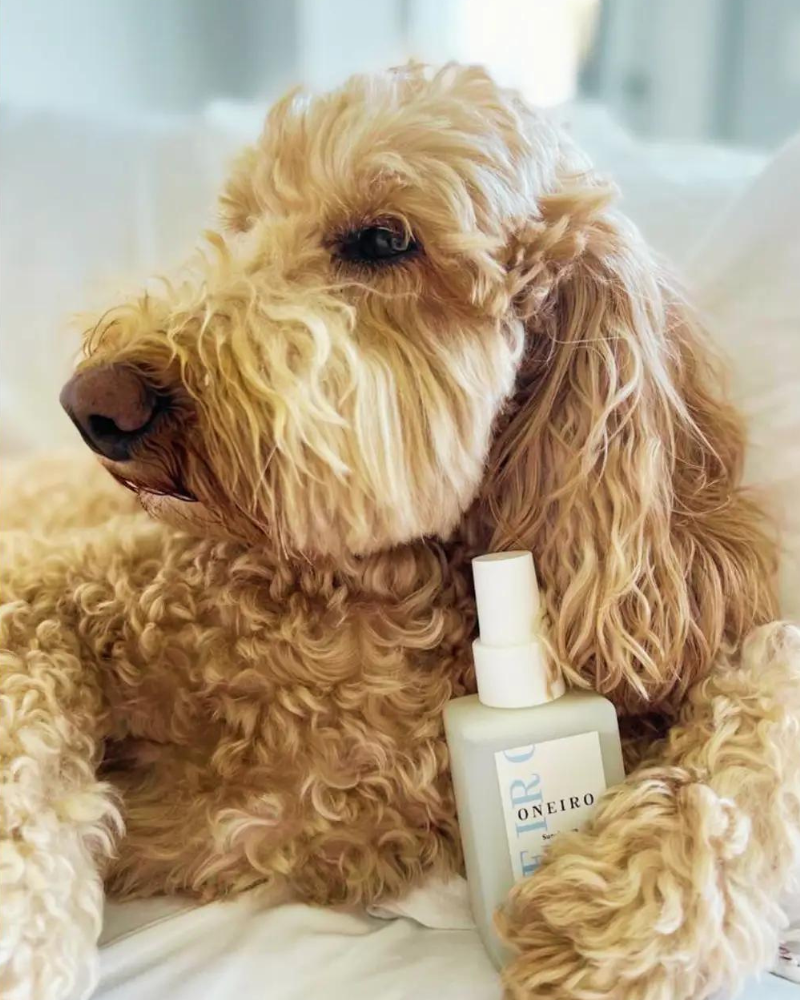 ONEIRO | Luxury Dog Multi Mist Spray | DOG & CO.