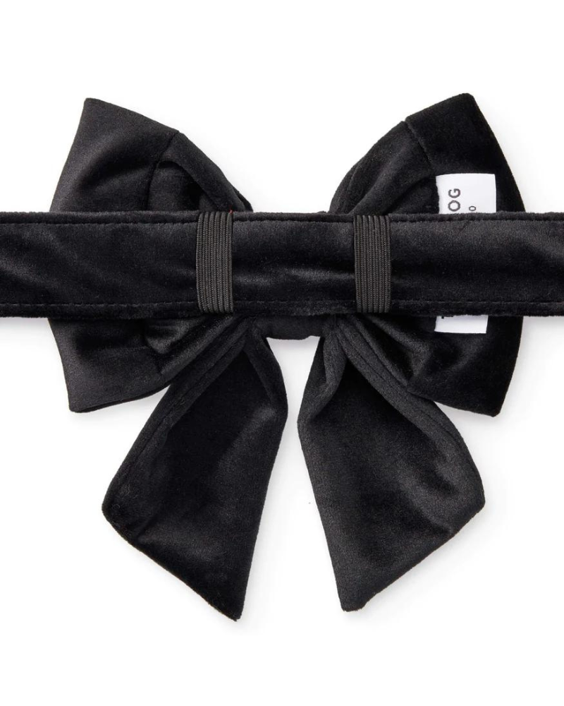 THE FOGGY DOG | Black Velvet Dog Bow (Made in the USA) | DOG & CO.