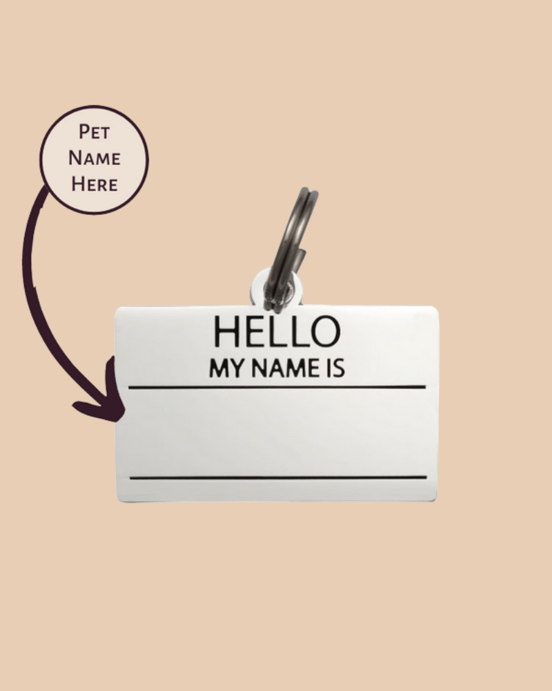 TWO TAILS PET COMPANY | Hello, My Name Is ID Tag (Custom/Drop-Ship ...